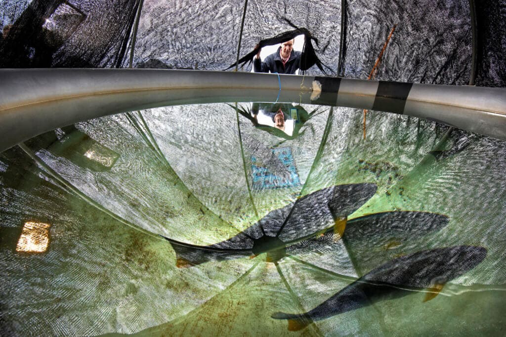 Charles Darwin (GEO) | Peter Ginter Photography