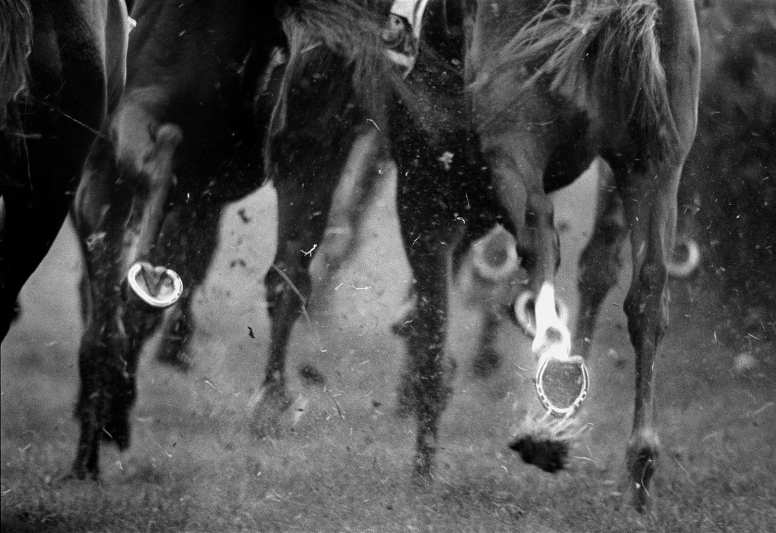 Black and White | Peter Ginter Photography